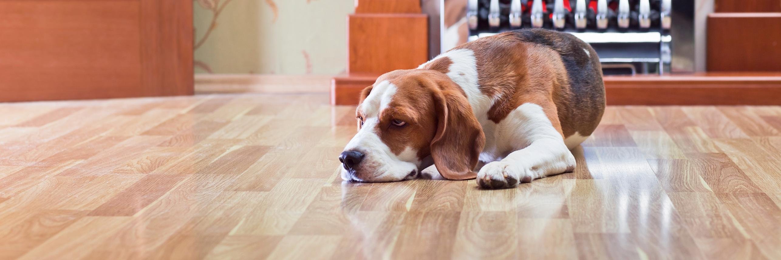 JKE Hardwood Floors (@EarecksonFloors) / Posts / X