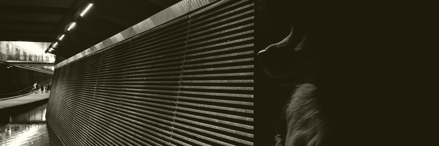 Mori Mutt (@MoriMutt) | Twitter