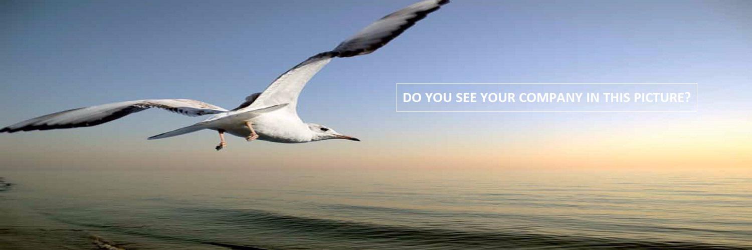 Seagull (@Seagull_Int) / Posts / X