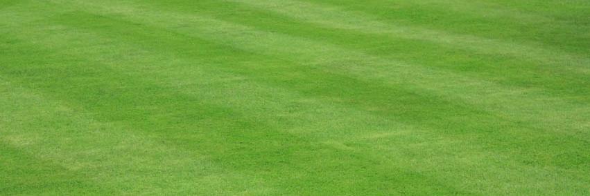 Lambert Distributing (@LambertLawn) / Posts / X