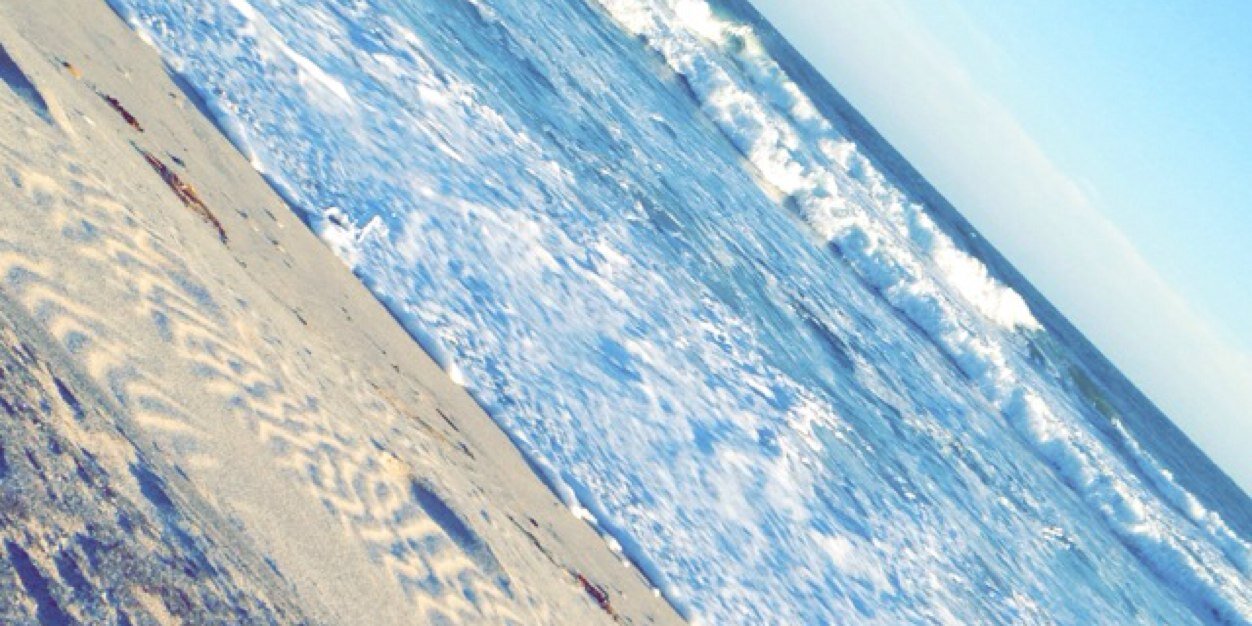 Casey Macomber (@CaseyMacomber) / Posts / X