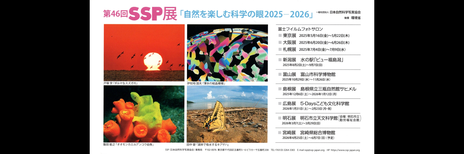 SSP-日本自然科学写真協会 (@ScientificPhoto) / Posts / X