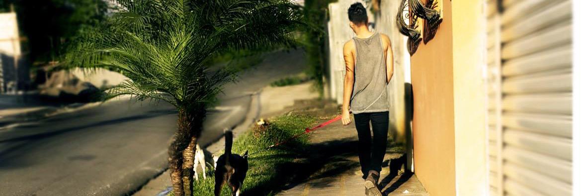 Geiner Alvarado (@gei_alvarado) / Posts / X
