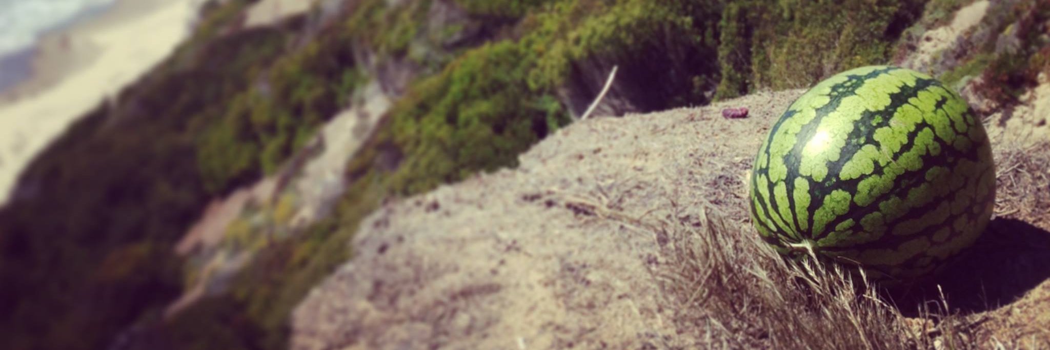 Dana Bialek (@dana_bialek) / Posts / X