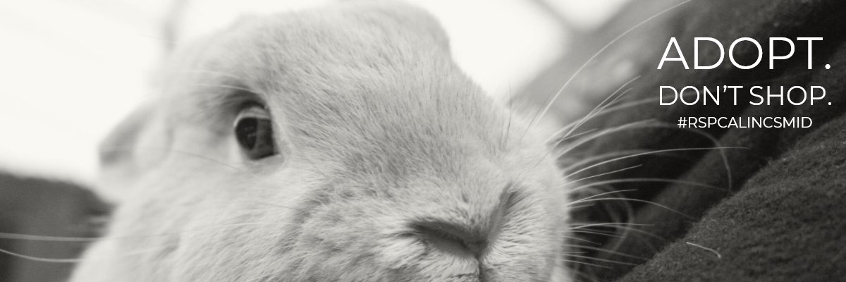 RSPCA Lincs Mid (@RSPCA_LincsMid) / Posts / X