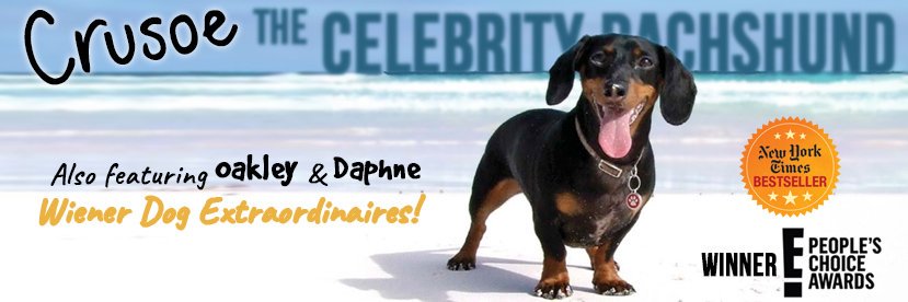 Crusoe the Dachshund (@Celeb_Dachshund) / Posts / X