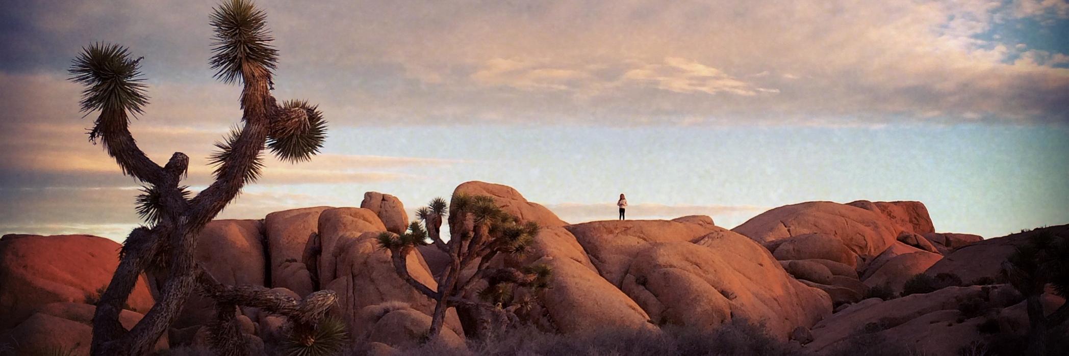 Allison Andersen (@allisonwanders) / Posts / X