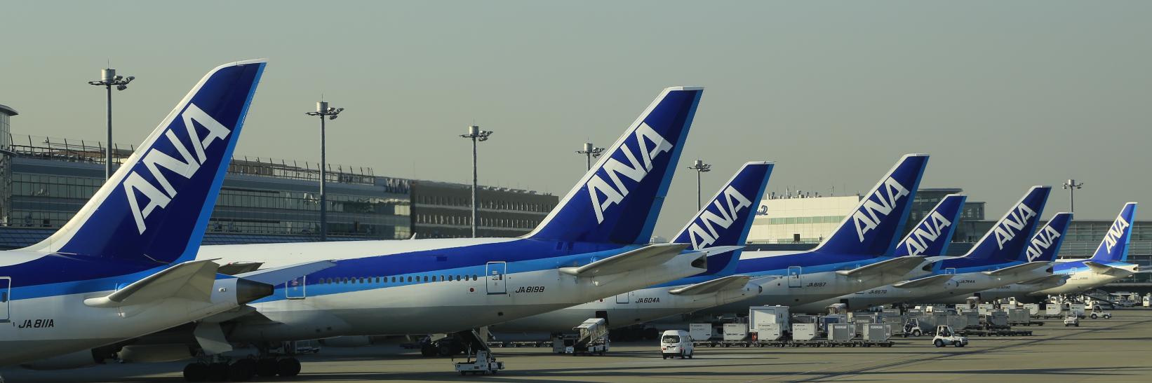 ANA Flight Info (@ANAFlightInfo_e) / Posts / X
