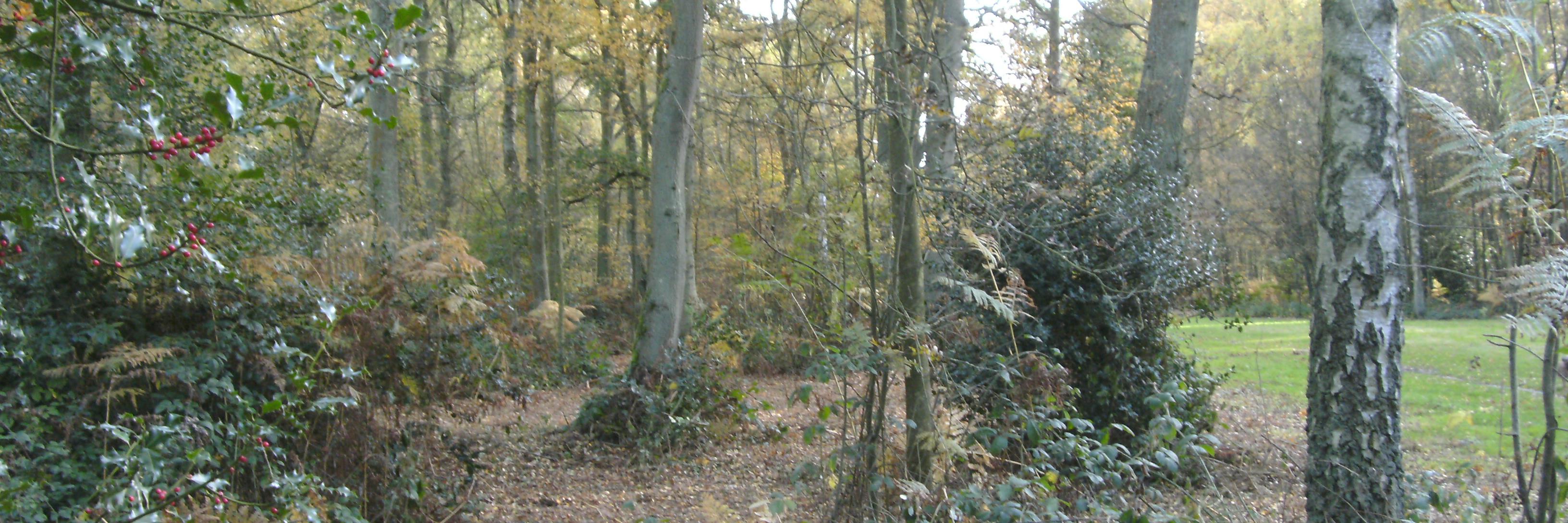 Chorleywood Parish (@ChorleywoodPC) / Posts / X