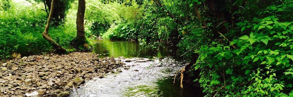 Threemilewater Conservation & Angling Association (@3milewater) / Posts / X