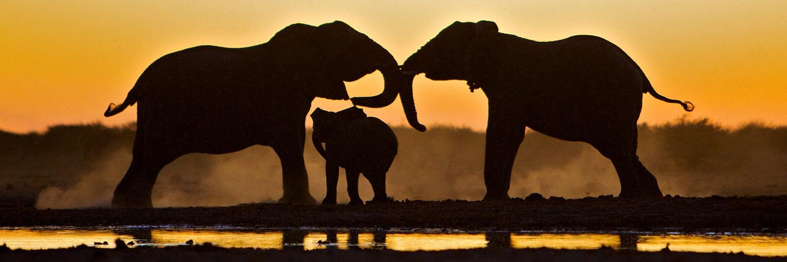 Sarah ツ (@douglagrade_390) / Posts / X