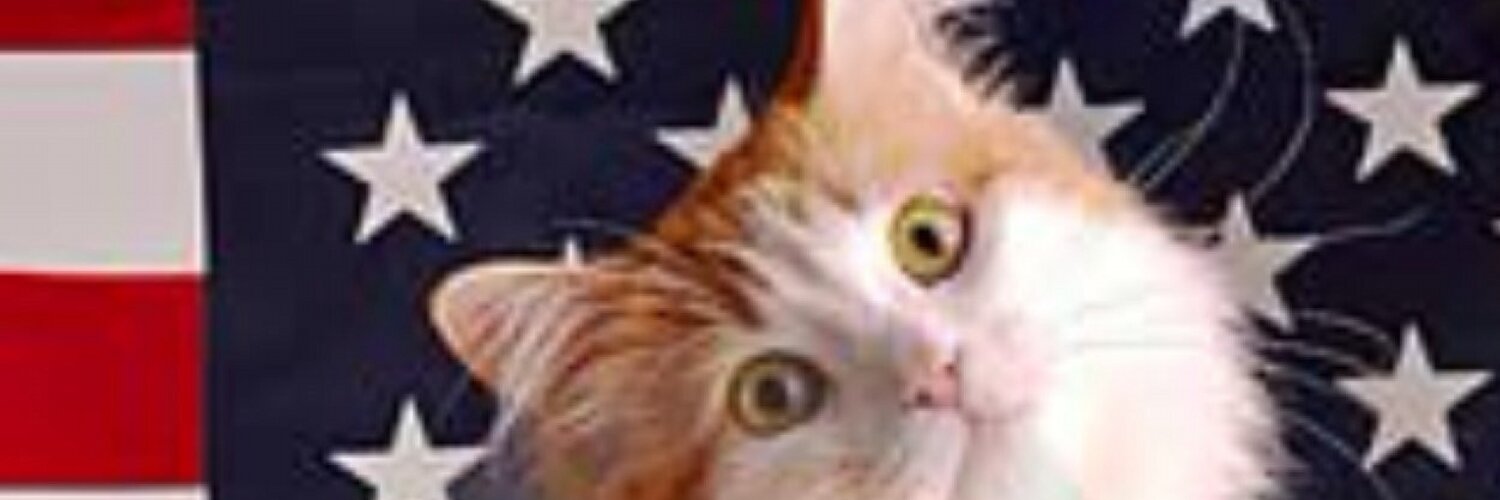 Jared Lambert (@Jaredclambert) | Twitter