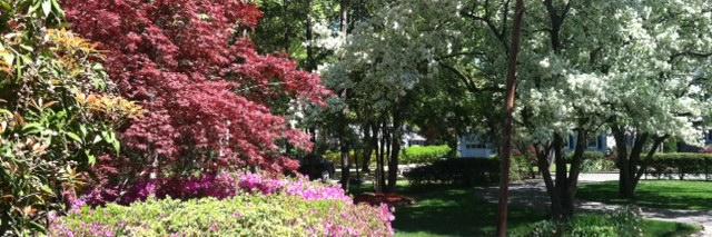 strongwithMS (@strongwithMS) / Posts / X