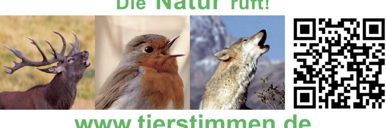 tierstimmen.de (@Ample_Edition) / Posts / X