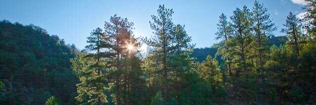 Cheap Land for Sale (@BillyLand) / Posts / X