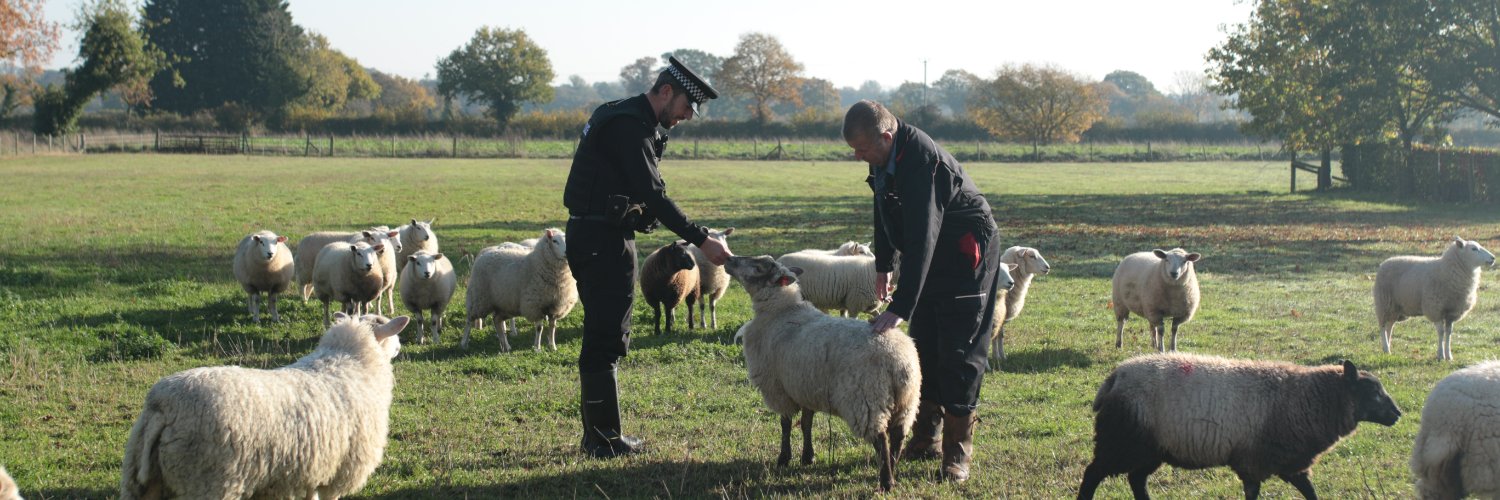 Norfolk Police (@NorfolkPolice) / Posts / X