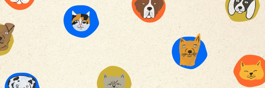 True Companions Animal Shelter & Clinic (@truecompanions_) / Posts / X