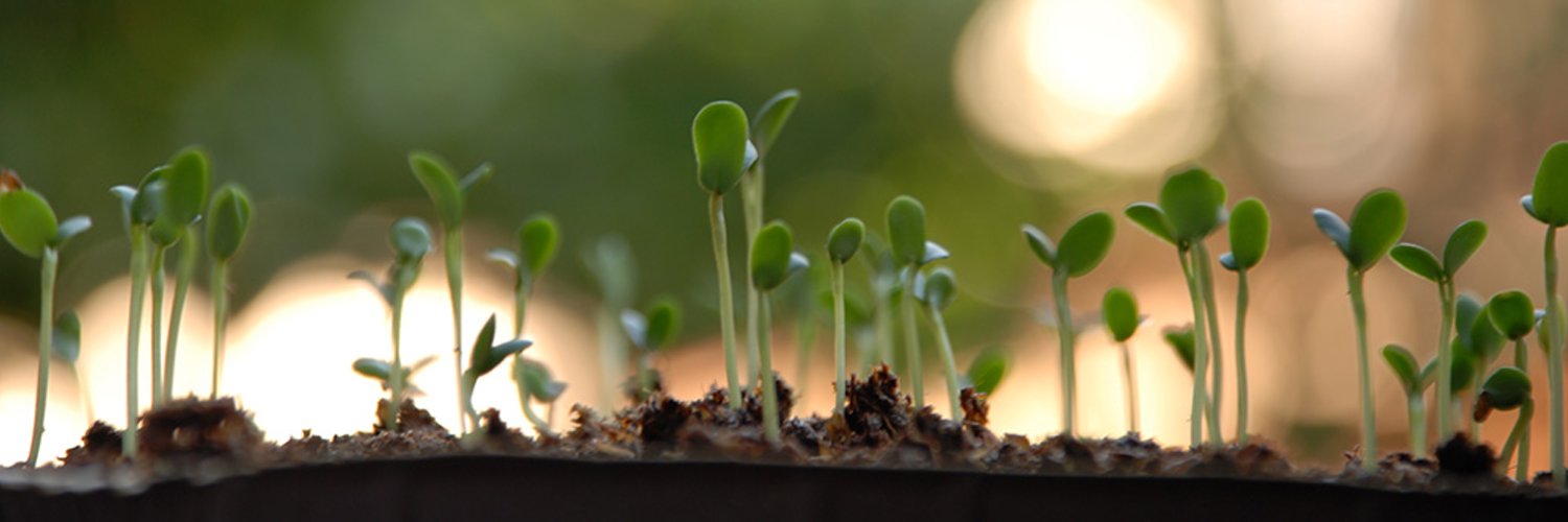 Organic Life (@OrganicLifeMag) / Twitter