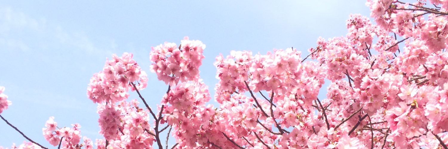 仁科美咲 (@misaki_n_vvv) / Posts / X