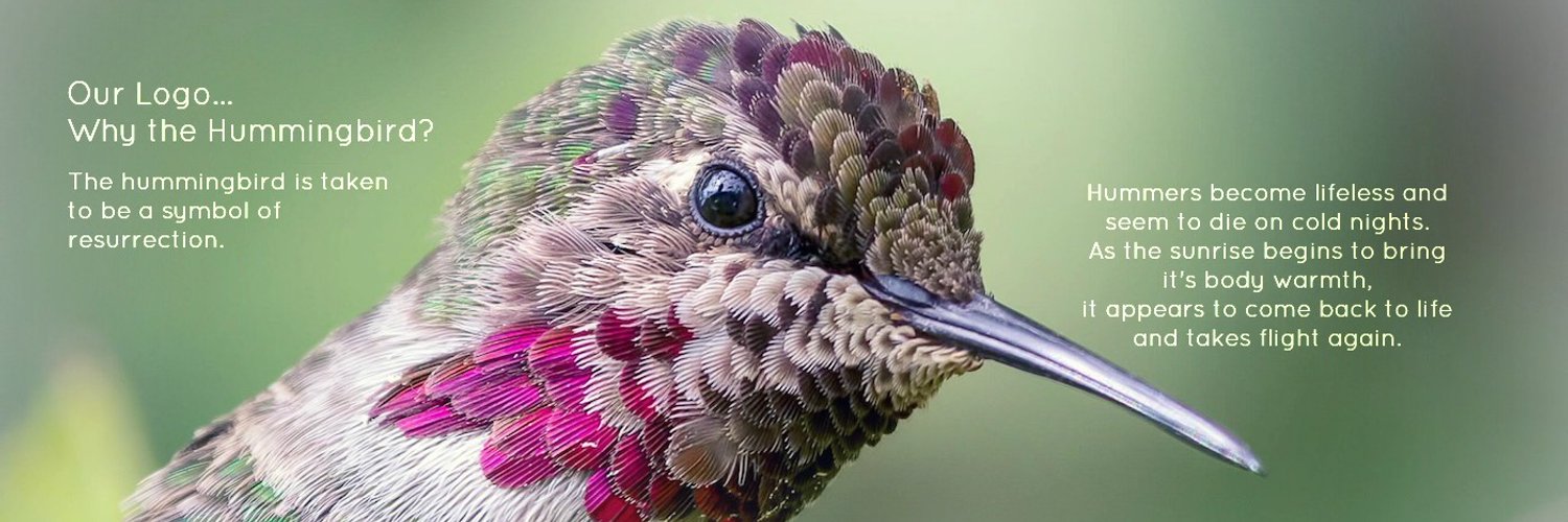 HealGrief.org (@HealGrief) / Twitter