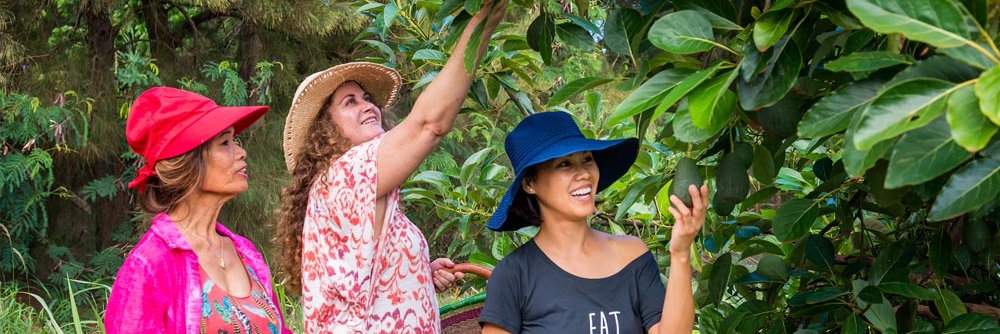 Tasting Kauai (@TastingKauai) / Posts / X