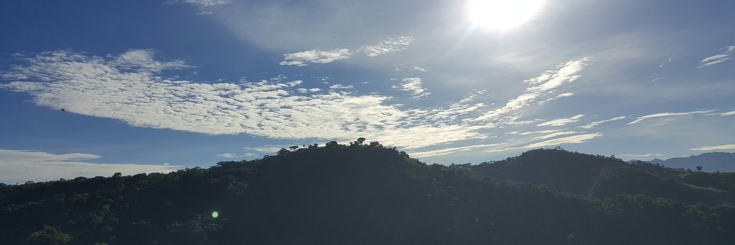 Mabel Torres (@Maveltorres9) / Posts / X