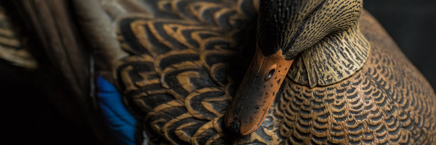 Zink Calls Avian X (@ZinkCallsAvianX) / Posts / X