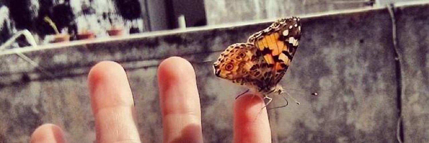 Kobe Ben Itamar (@Caparico) | Twitter