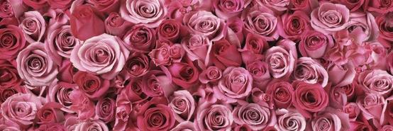 TCU Florist (@TCUFlorist) / Posts / X