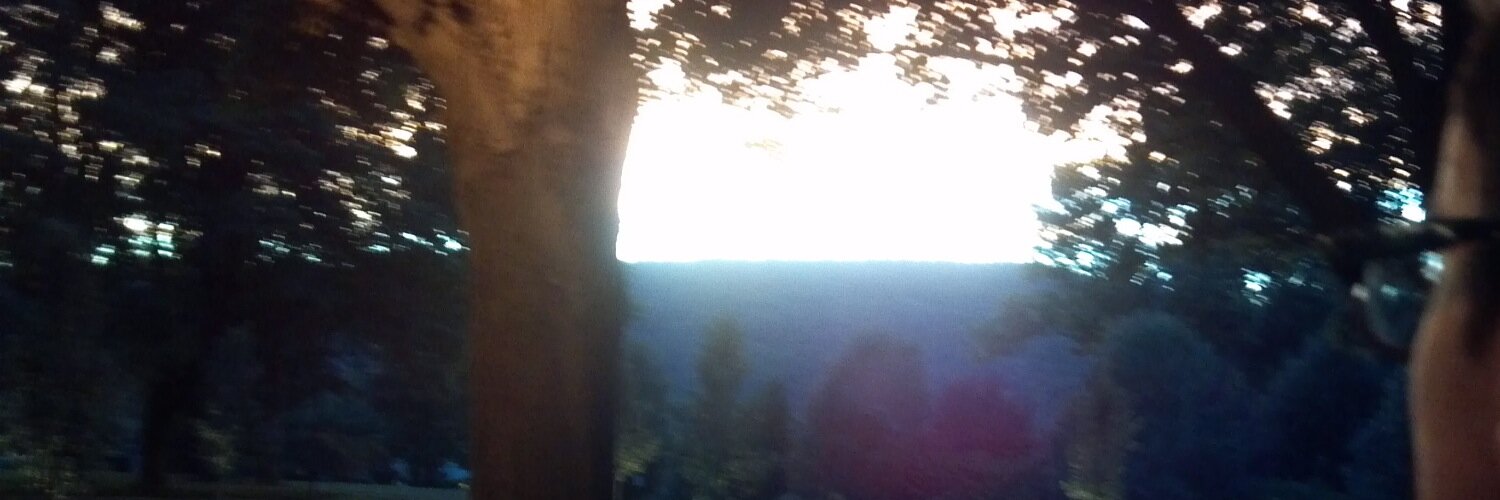 Jan Bidwell (@janbidwell) / Posts / X