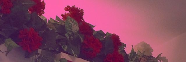 SOLOMON RAY (@solomonraymusic) / Posts / X