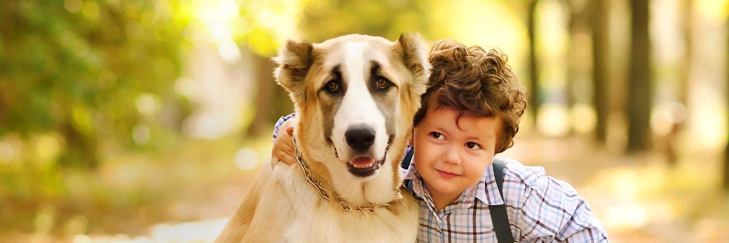 Fairfax Mobile Vet (@Fairfax_Vet) / Posts / X