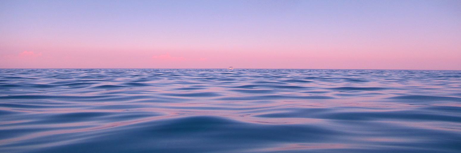 Kaitlin Parry (@Shootpeople_) / Posts / X