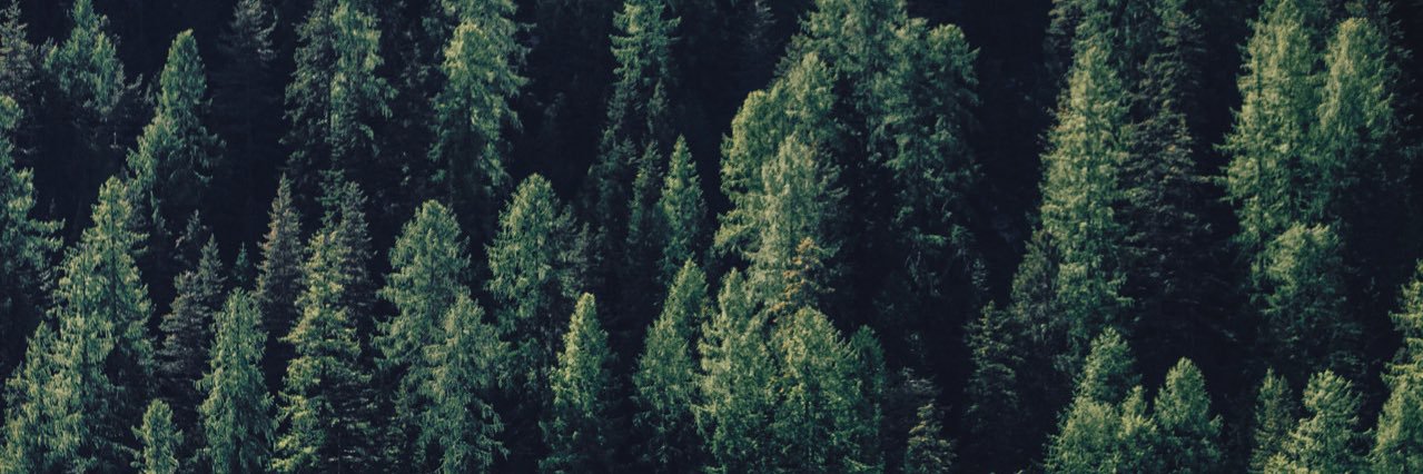 kylie fader (@kyliefader) / Posts / X