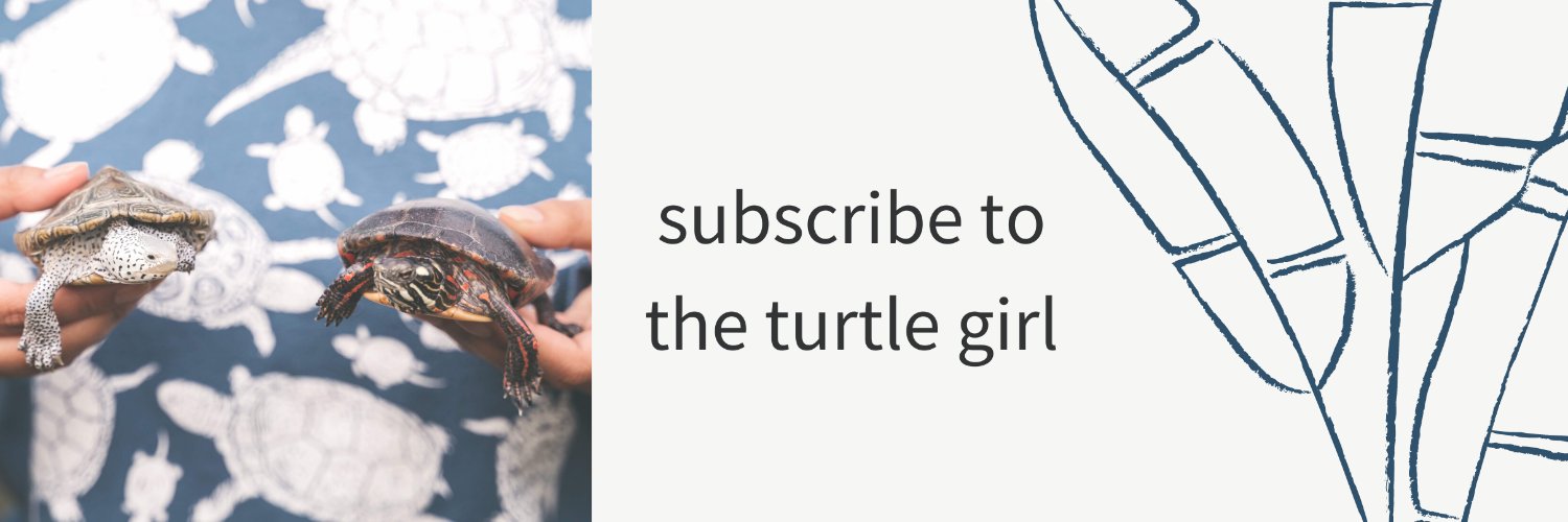 The Turtle Girl (@the_TurtleGirl) / Posts / X
