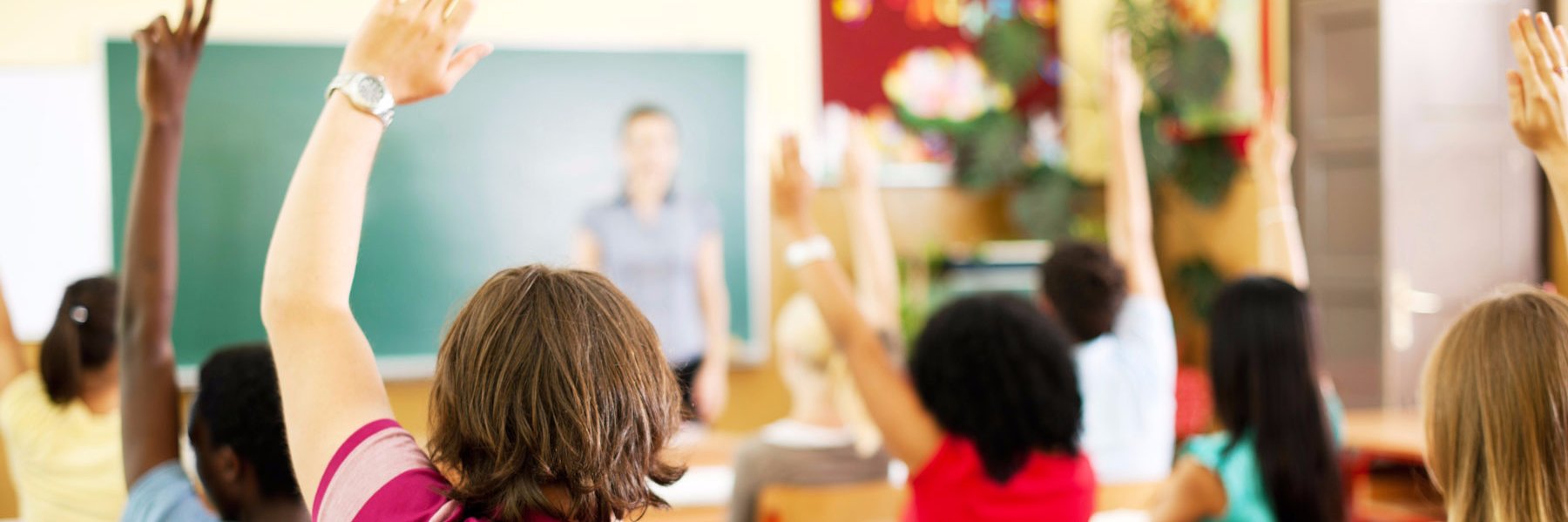 ProactivelyLearning (@proac_learning) / Posts / X