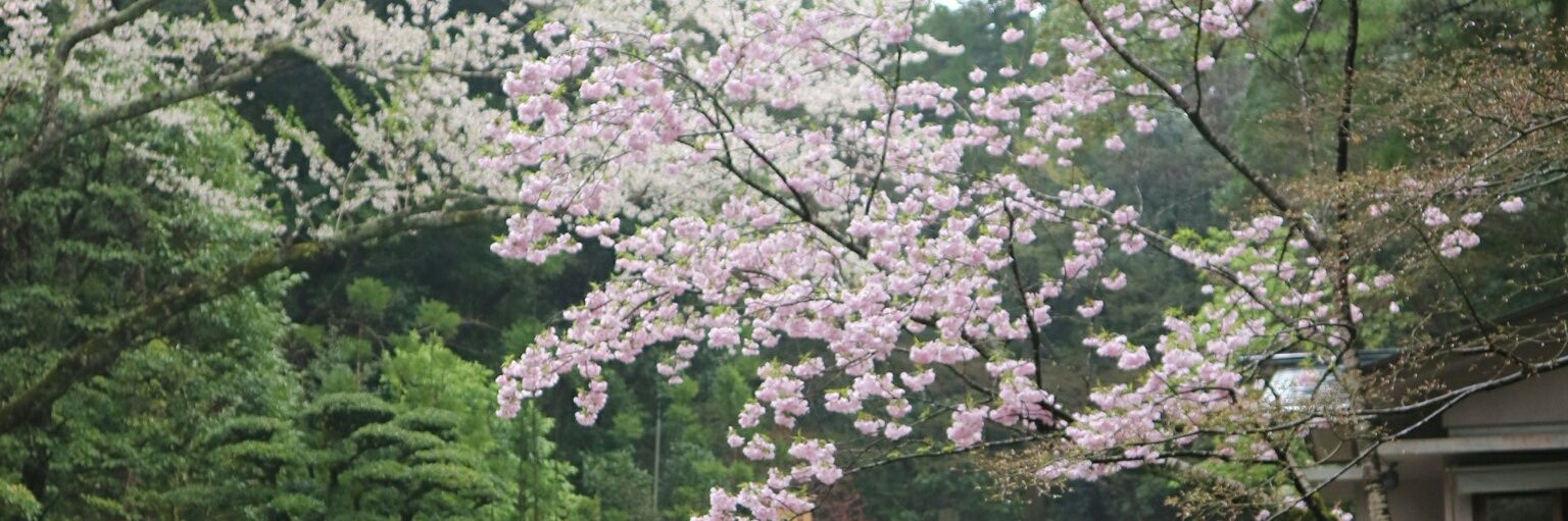 kakeru (@kakeru_toki) / Posts / X