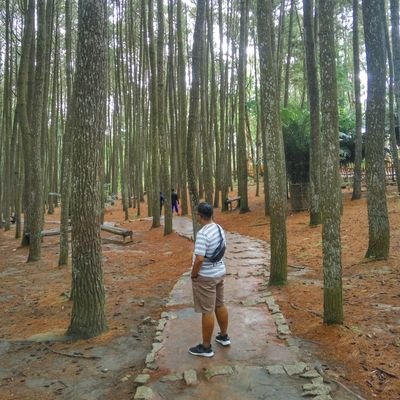 ジャヴバンゲト 🇯🇵🔞 on Twitter: "Artis JAV sekarang ngga kayak artis bokep https://t.co/aWlZLIQOXp ...