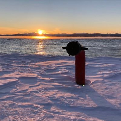 Peter Sheridan Dodds on Twitter: "@KameronDHarris @andyreagan @ChrisDanforth And runs on 30W and ...