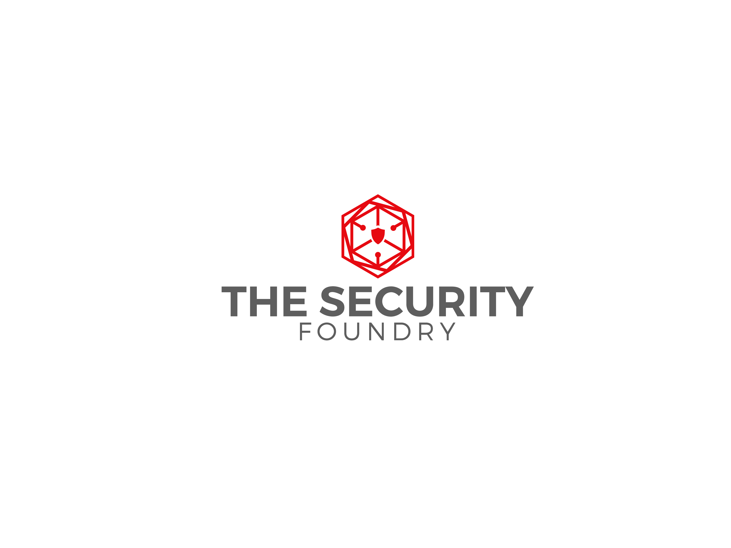 The Security Foundry, LLC (@securityfoundr1) | Twitter