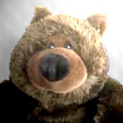 Juno Bear (@JunoBear) / Twitter