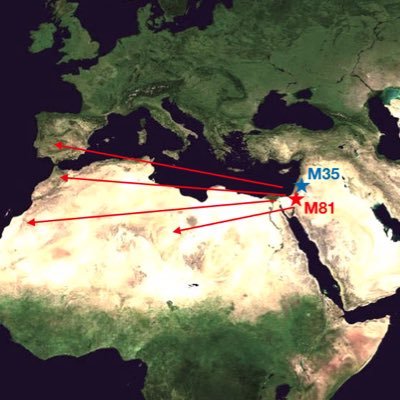 مشجرة E-M81 المشرقية on Twitter: "تعدد ساق الحصان يرمز به لسرعته وقوته كما في النقش.…