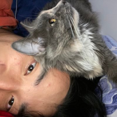 Yudai Koyama (@YudaiKoyama) | Twitter