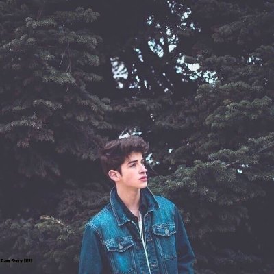 [PDF] FREE Diary of a Reluctant Dreamer: Undocumented Vignettes from a ...