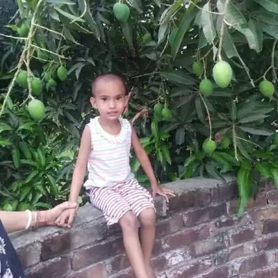 Shishir Mondol (@ShishirMondol9) | Twitter