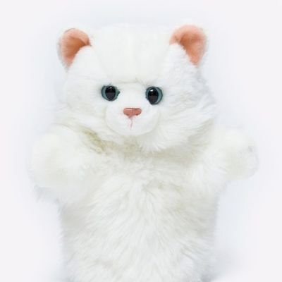 Srijani Mondal (@SrijaniMondal1) / Twitter