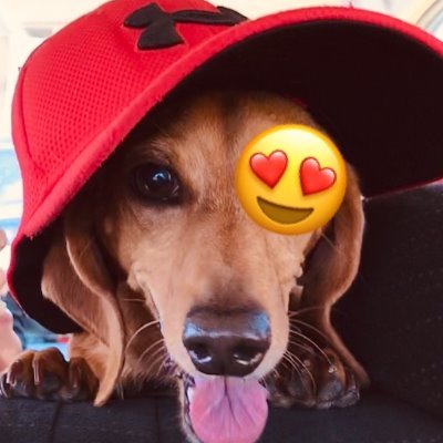 Itsuking_kong on Twitter: "#沖縄#風景 #海 #伊是名 #ビーチ #オーシャンビュー #エメラルドブルーの海 #去年の夏 #Poplle #ポップル https ...