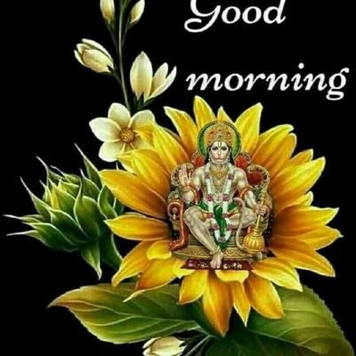 Sachin Katiyar (@SachinK74015162) | Twitter