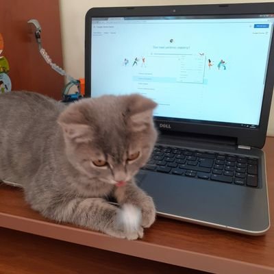 Stim99 (@Stim995) | Twitter