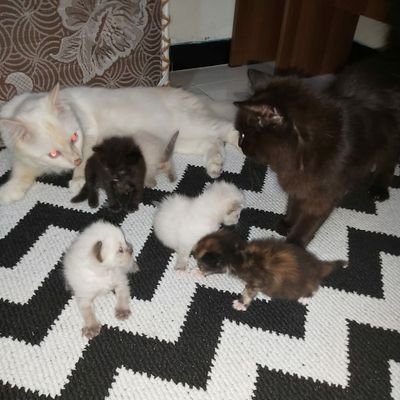 InisNov07 (@nov07_inis) | Twitter